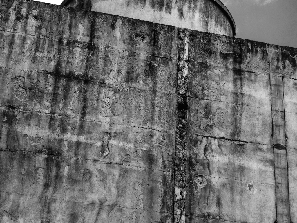 Chimopar | Totally Lost